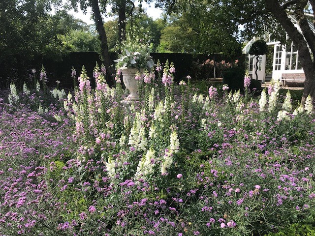 formal garden – Amber Jakeman